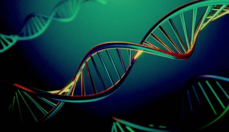 Paternity Fraud in the UK: Understanding, Consequences, and Prevention