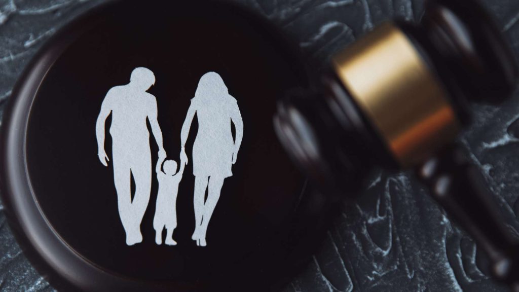 Protecting Parental Rights: Challenging Paternity Fraud Allegations in ...